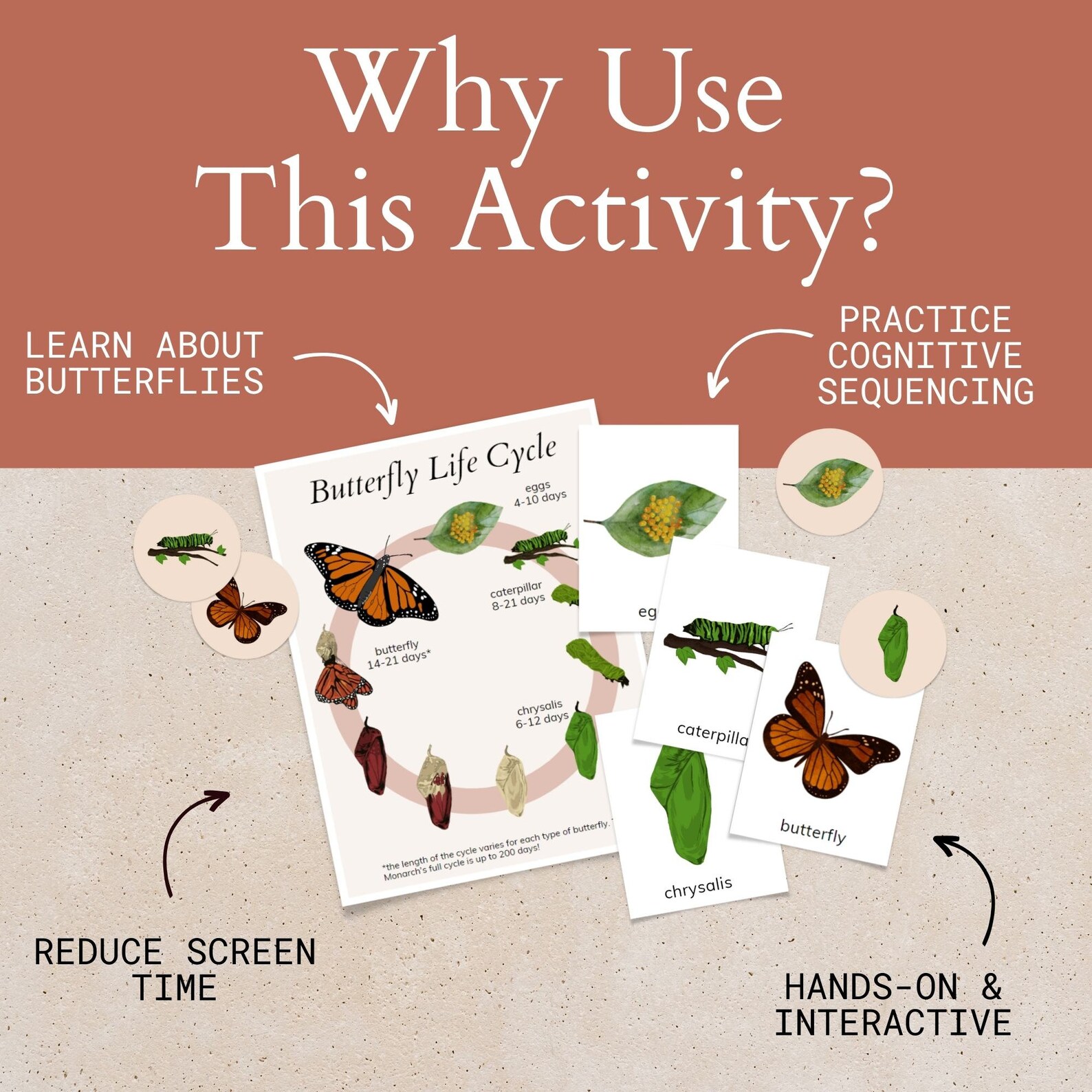 Butterfly Life Cycle Printable for Preschooler, Montessori Butterfly ...