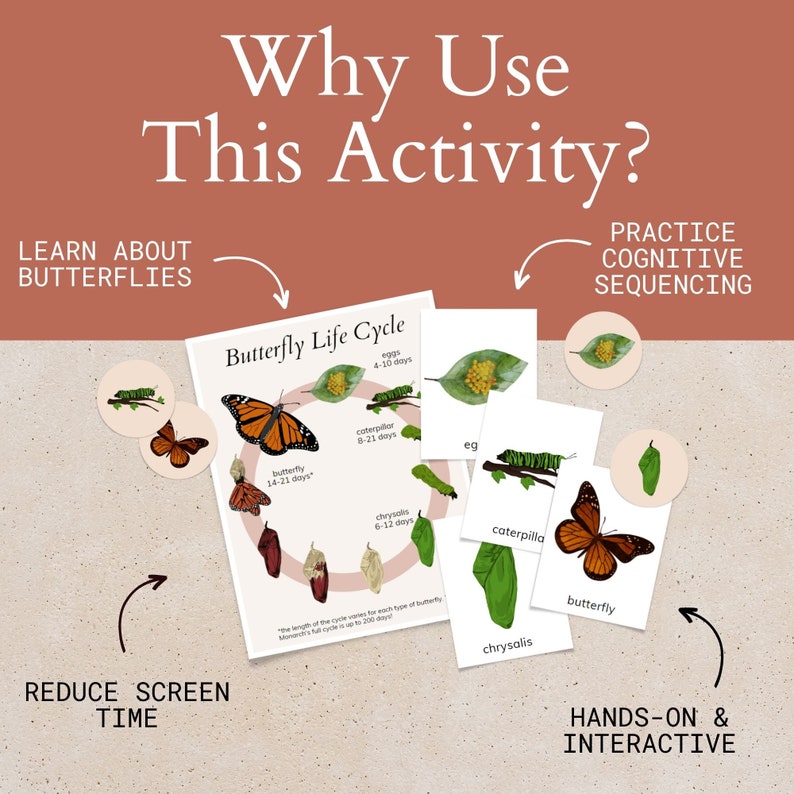 Butterfly Life Cycle Printable for Preschooler, Montessori Butterfly ...