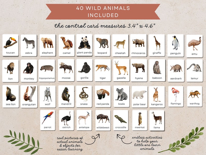 Wild Animal Flashcards for Kids, African Animals Montessori 3 Part ...
