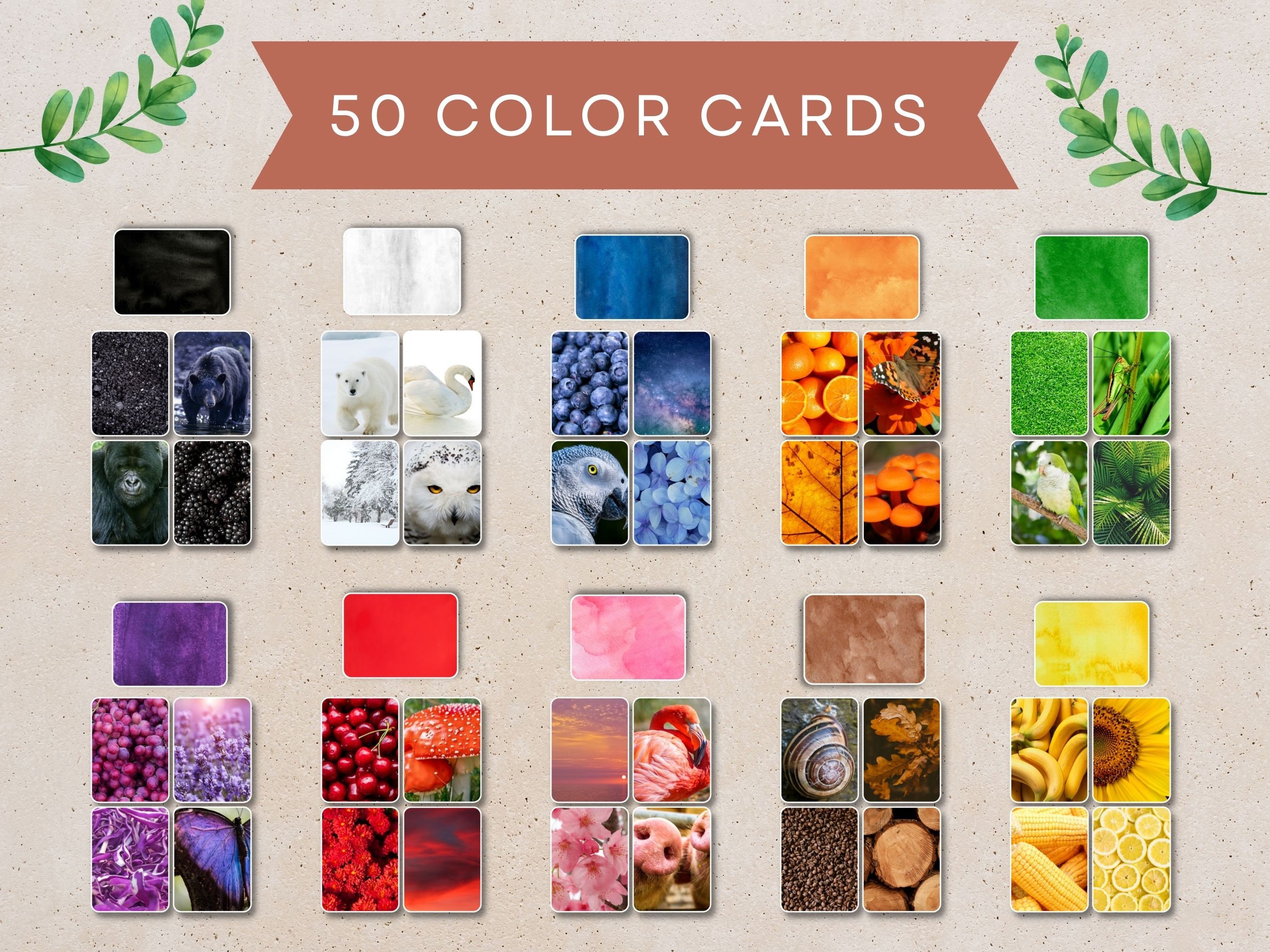 Color Sorting Printable Cards, Montessori Color Matching Activity ...
