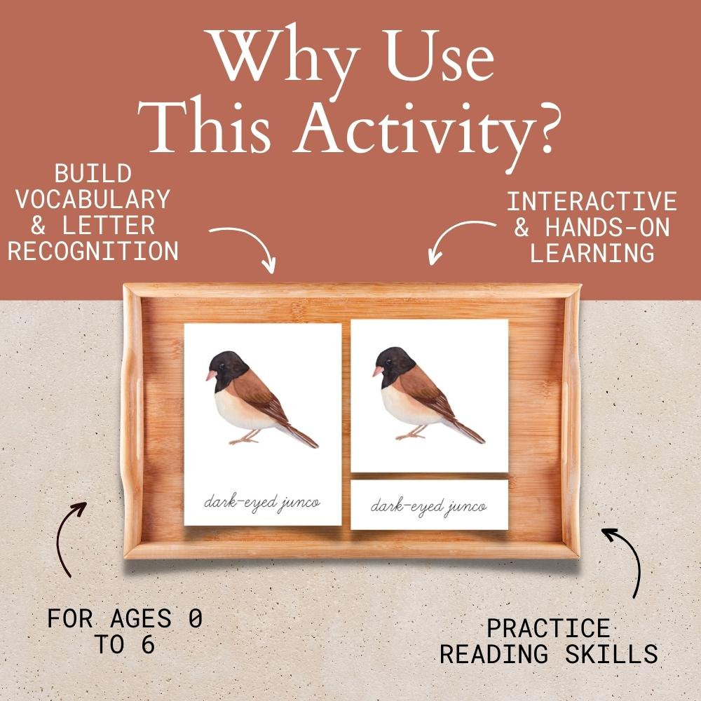 Winter Birds Flashcards Printable, Montessori Winter Activities for ...