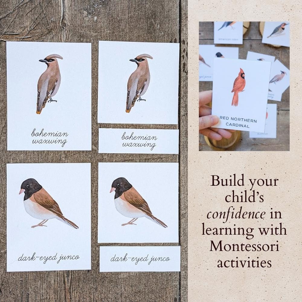 Winter Birds Flashcards Printable, Montessori Winter Activities for ...