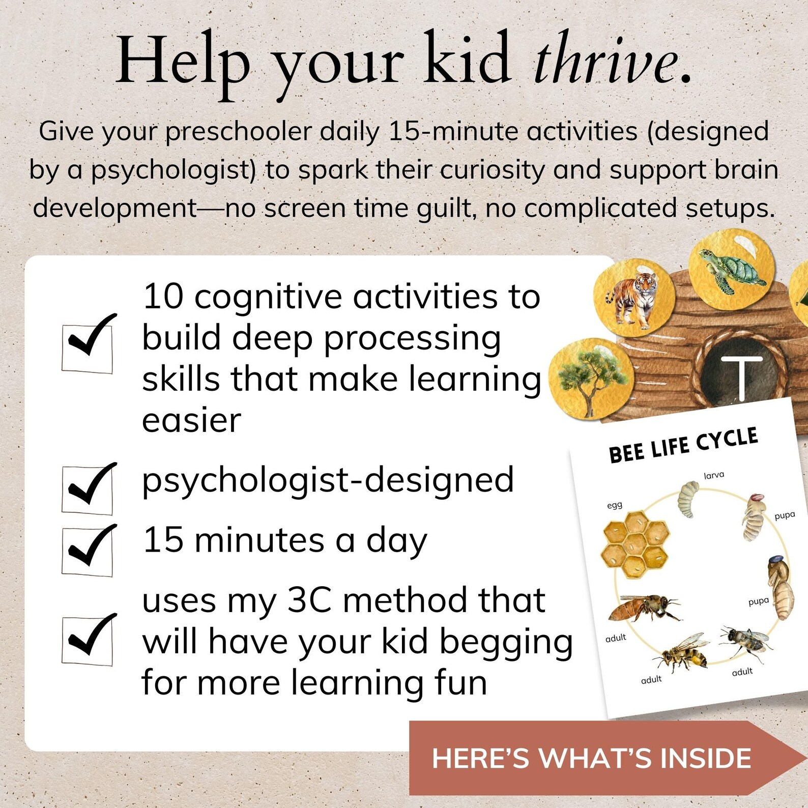 Bee Unit Study Preschool Learning Bundle, 4 Year Old Learning ...