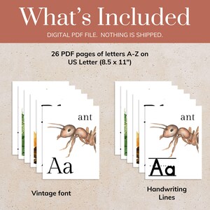 Garden Alphabet Poster, Garden Classroom Theme ABC Banner Printable ...