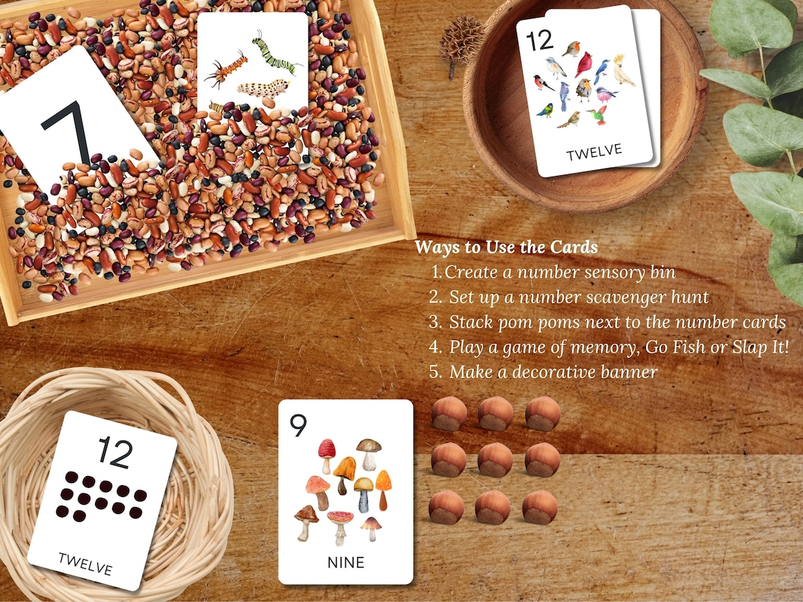 Nature Number Flash Cards, Preschool Math Printables, Cute Flashcards ...