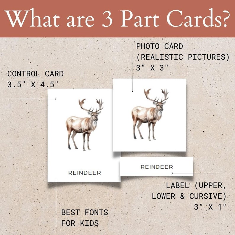 Arctic Animals 3 Part Cards Printable, Polar Montessori Nomenclature ...