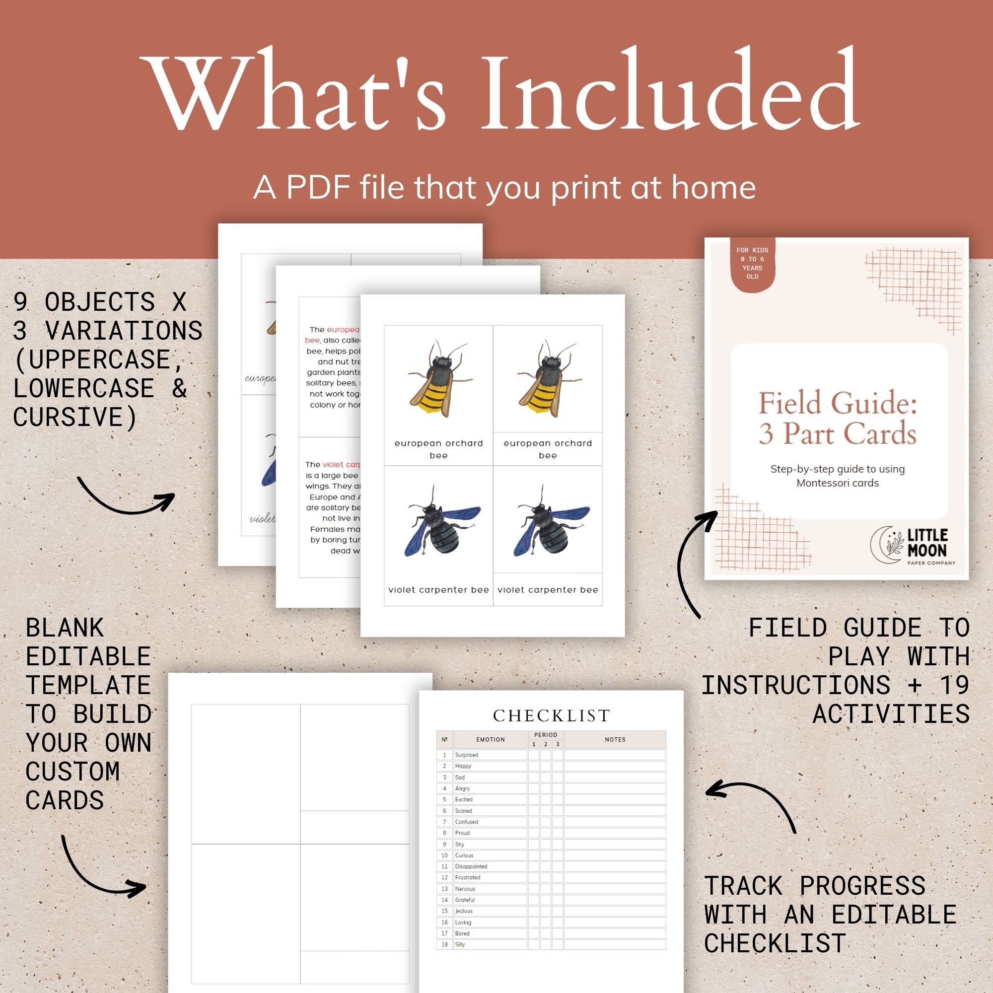 Types of Bee Vocabulary Flashcard, Montessori 3 Part Card Bee Preschool ...