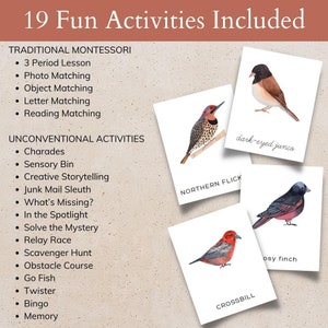 Winter Birds Flashcards Printable, Montessori Winter Activities for ...