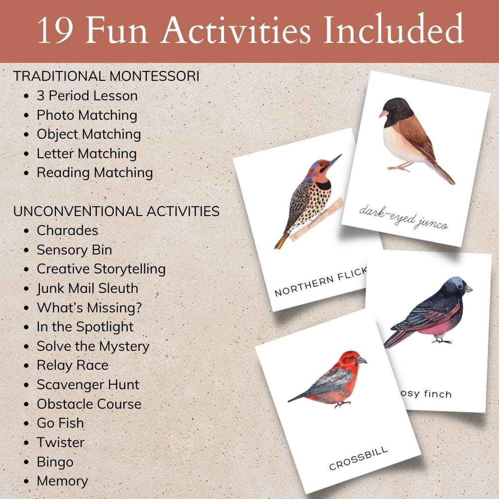 Winter Birds Flashcards Printable, Montessori Winter Activities for ...