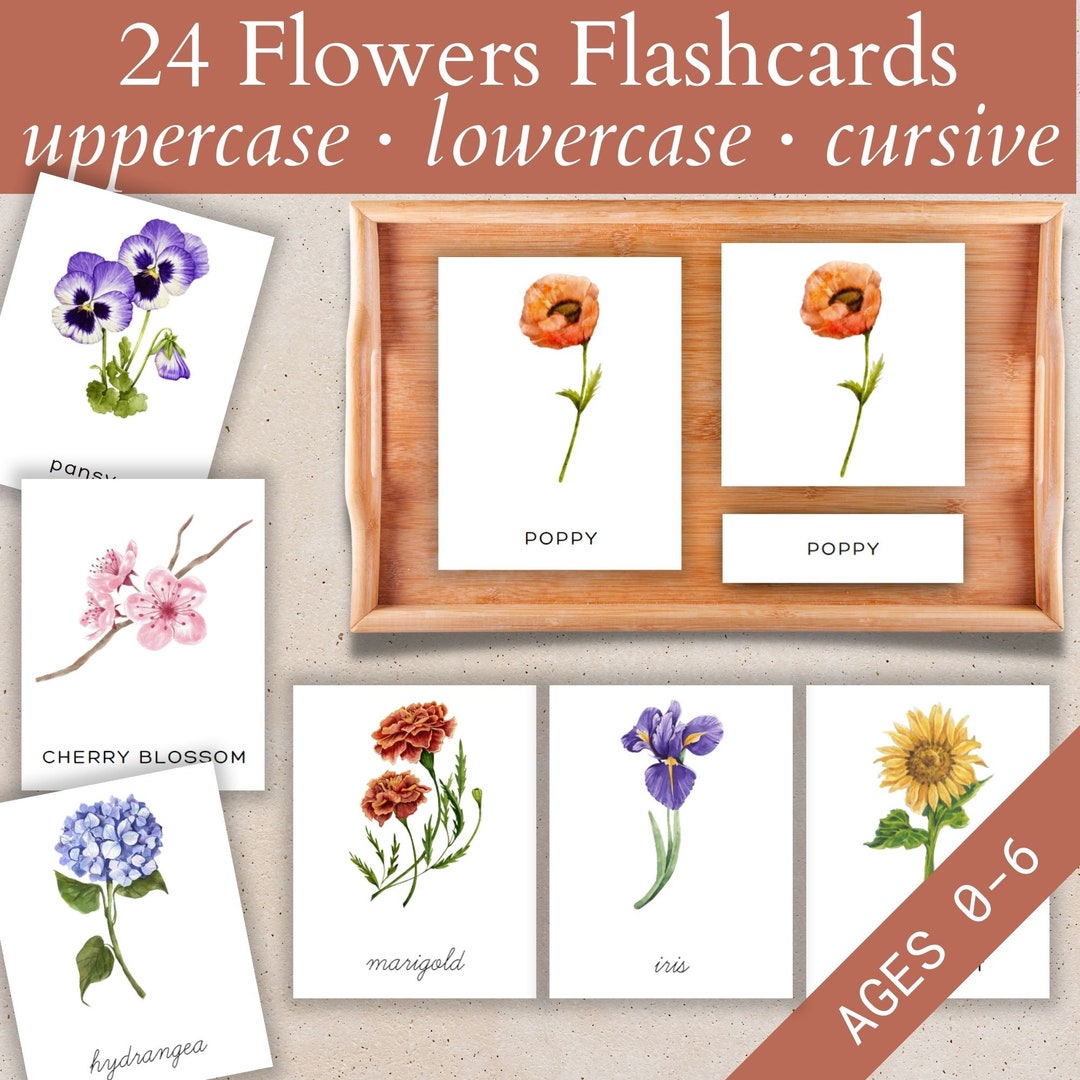 Flower 3 Part Card Printable, Montessori Language Cards for Toddlers ...