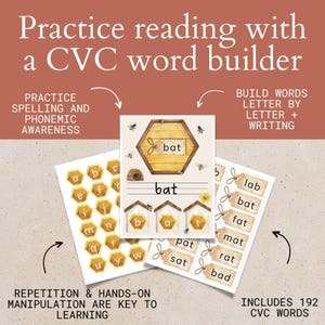 Bee Unit Study Preschool Learning Bundle, 4 Year Old Learning ...