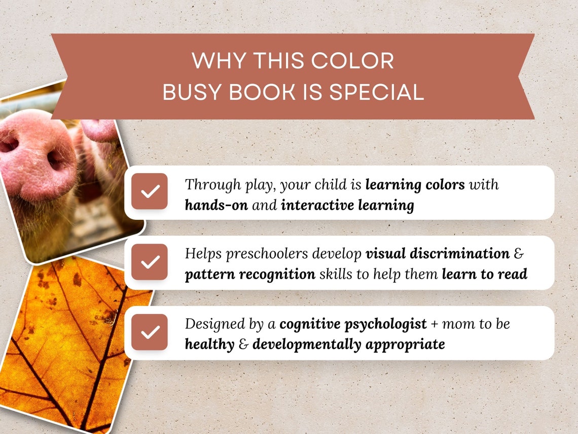 Color Sorting Printable Cards, Montessori Color Matching Activity ...