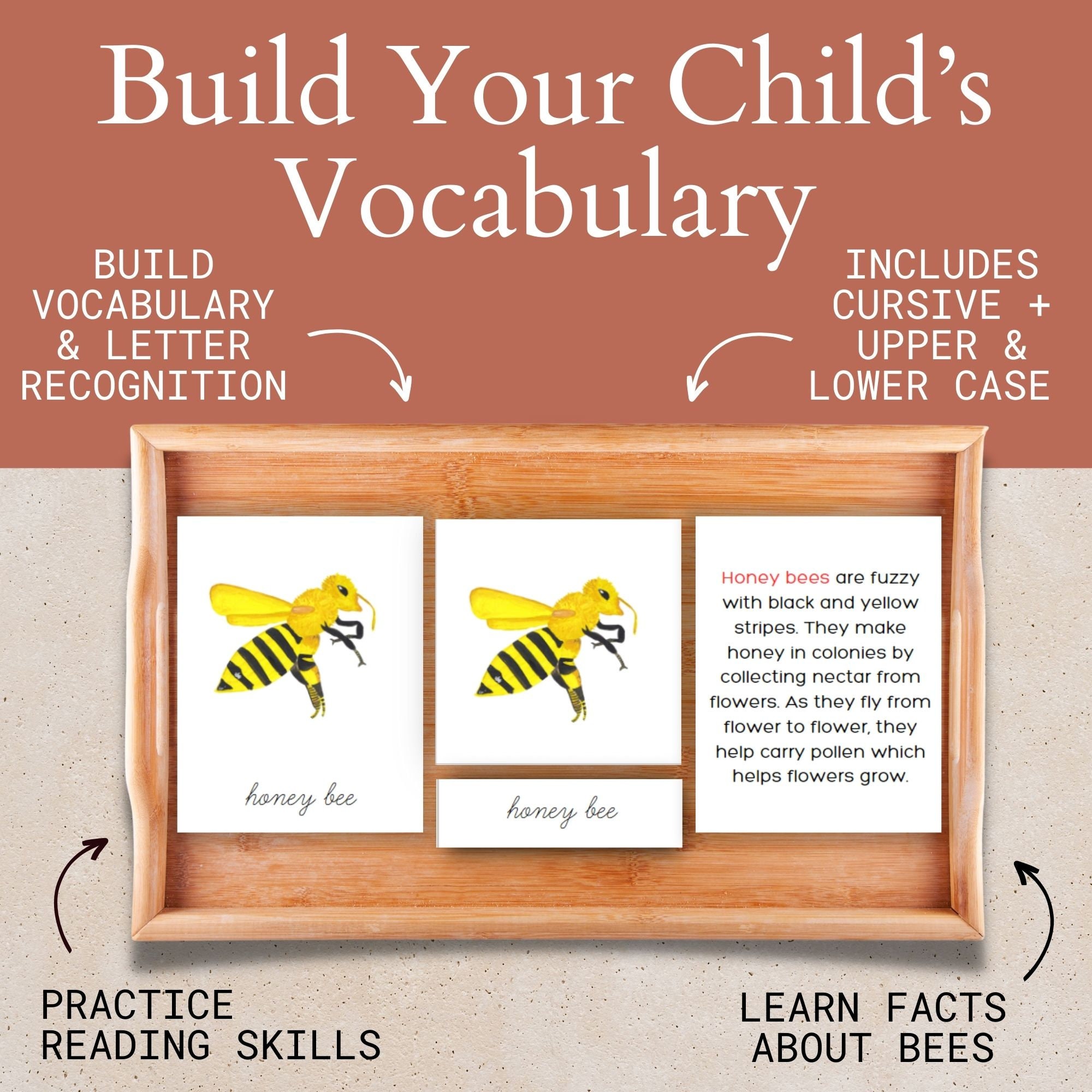 Types of Bee Vocabulary Flashcard, Montessori 3 Part Card Bee Preschool ...