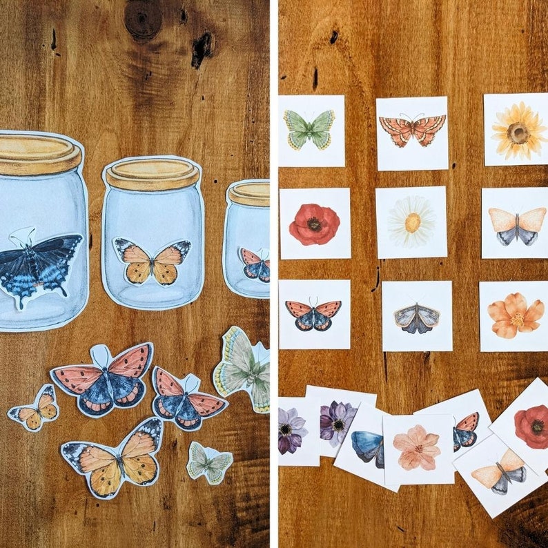 Butterfly Unit Study Preschool, Butterfly Life Cycle Activity for Kid ...