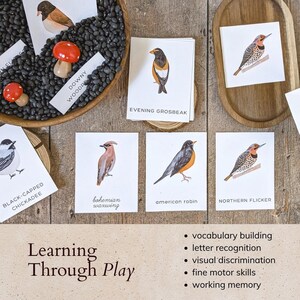Winter Birds Flashcards Printable, Montessori Winter Activities for ...