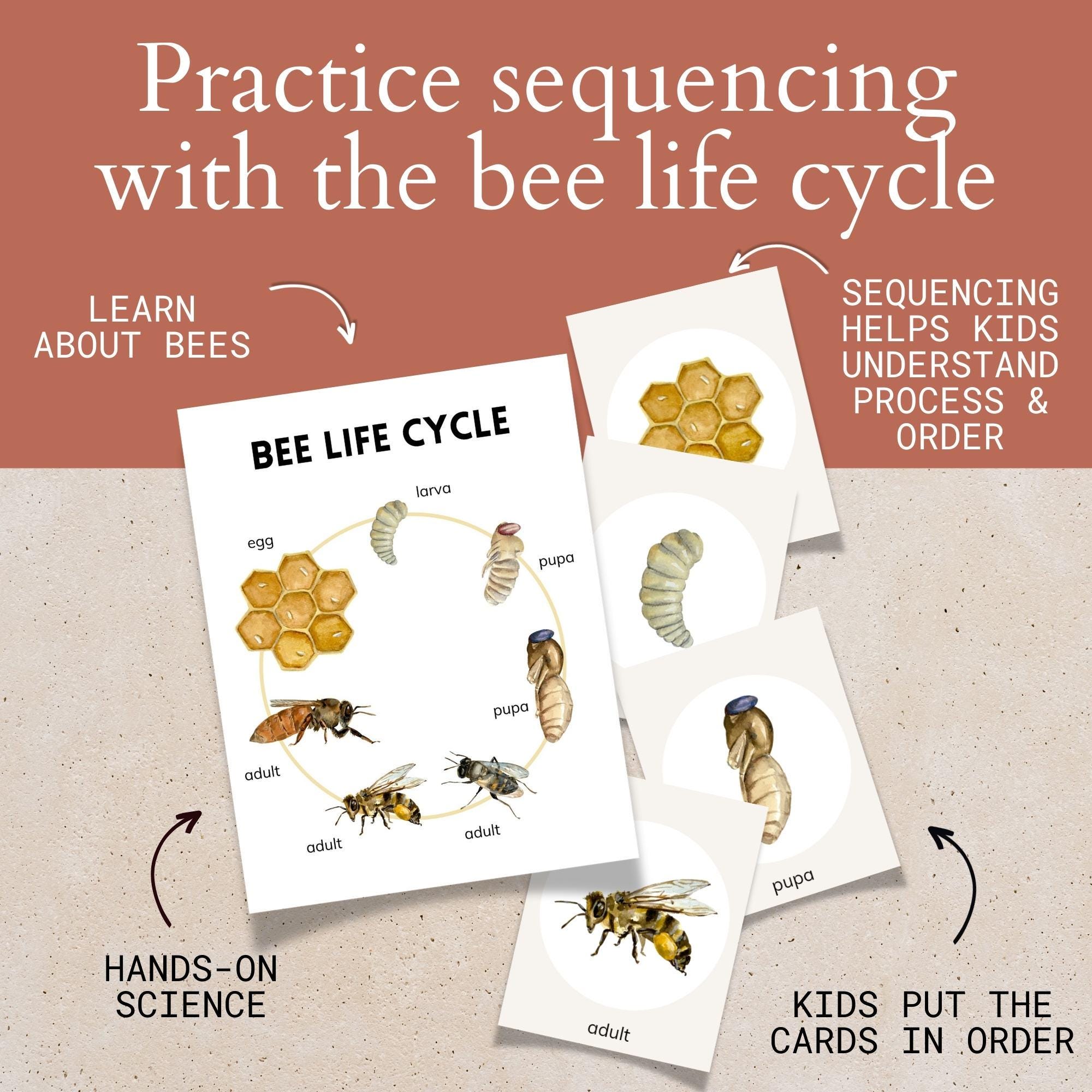 Bee Unit Study Preschool Learning Bundle, 4 Year Old Learning ...