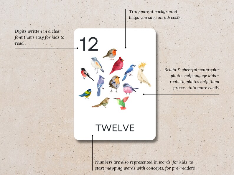 Nature Number Flash Cards, Preschool Math Printables, Cute Flashcards ...