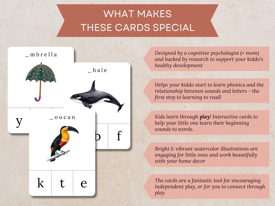 Phonics Flashcards Beginning Sounds Alphabet ABC Flash Cards - Etsy