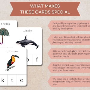 Phonics Flashcards Beginning Sounds Alphabet ABC Flash Cards - Etsy