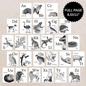 Vintage Animal Alphabet Poster for Classroom Decor Black and White, A-Z ...