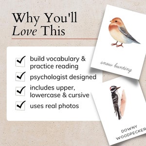 Winter Birds Flashcards Printable, Montessori Winter Activities for ...