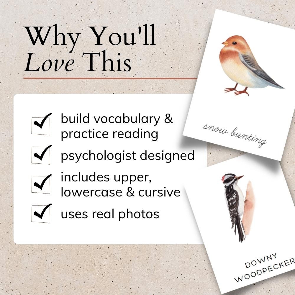 Winter Birds Flashcards Printable, Montessori Winter Activities for ...