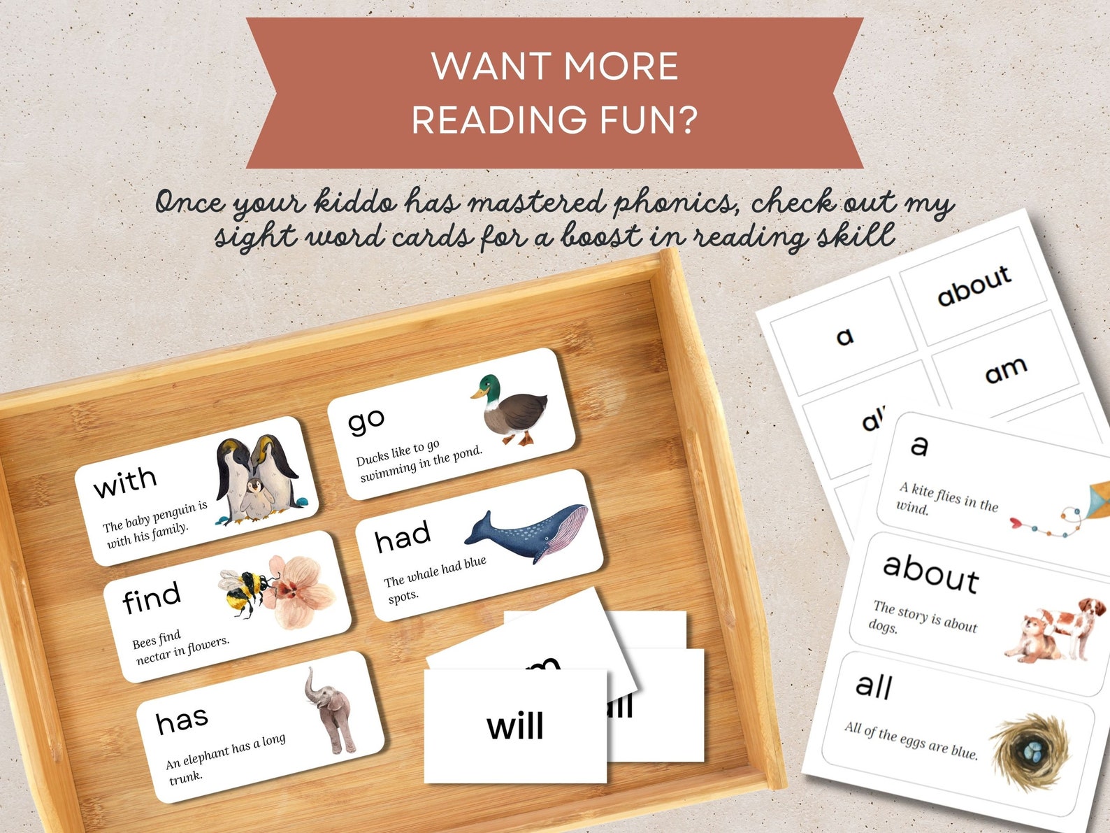 Phonics Flashcards Beginning Sounds Alphabet ABC Flash Cards - Etsy