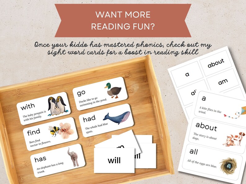 Phonics Flashcards Beginning Sounds Alphabet ABC Flash Cards - Etsy