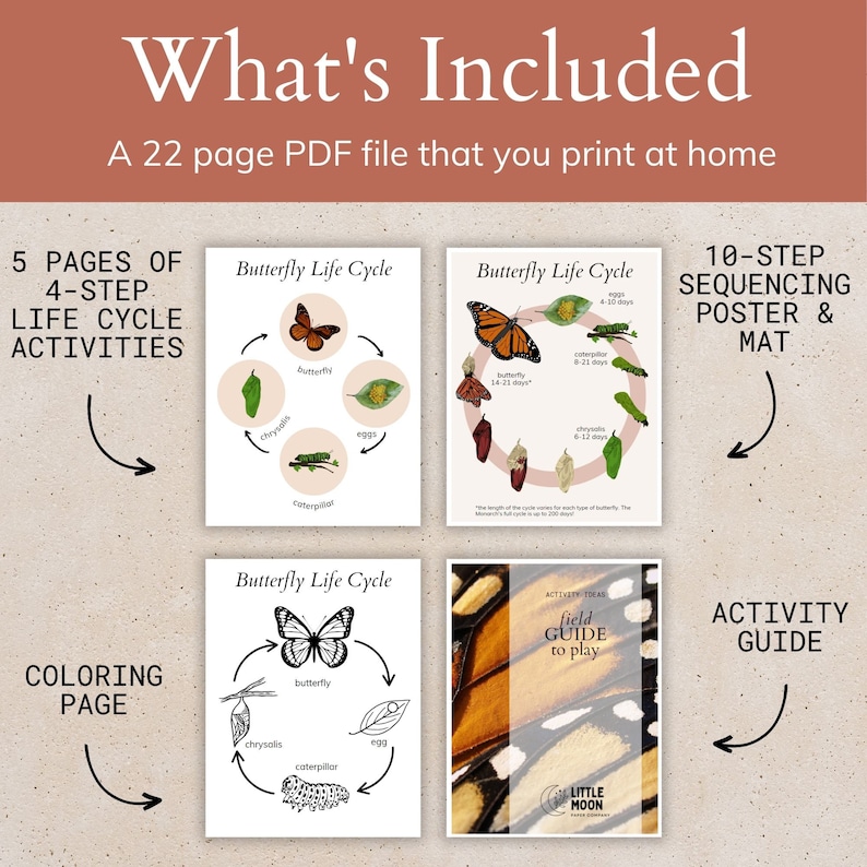 Butterfly Life Cycle Printable for Preschooler, Montessori Butterfly ...