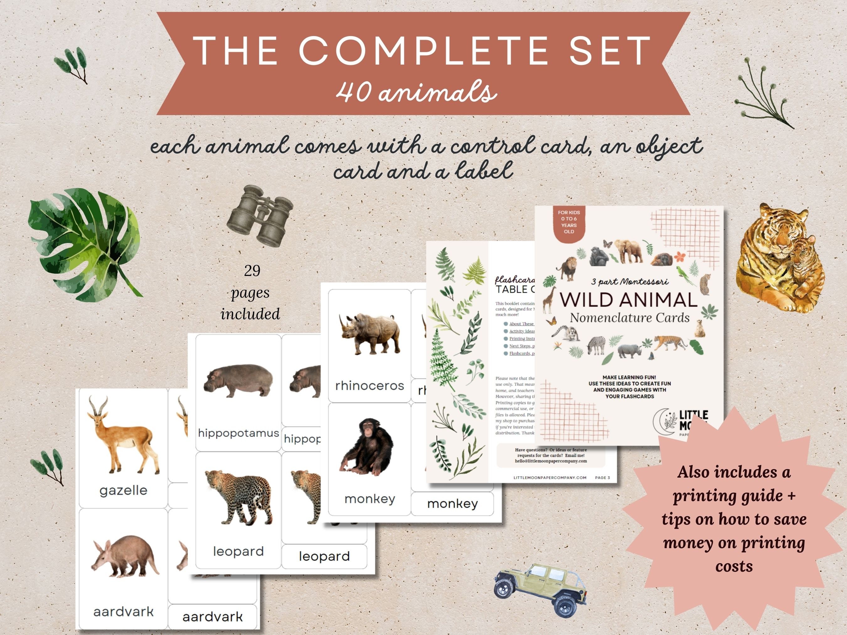 Wild Animal Flashcards for Kids, African Animals Montessori 3 Part ...