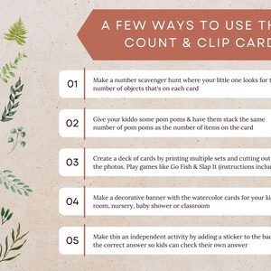 Nature Number Count and Clip Cards, Clothespin Game Printable ...