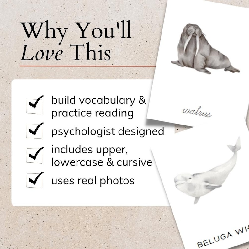 Arctic Animals 3 Part Cards Printable, Polar Montessori Nomenclature ...