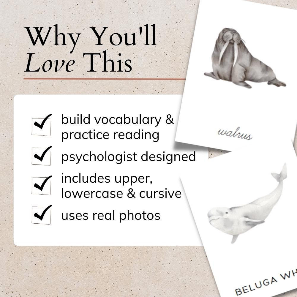 Arctic Animals 3 Part Cards Printable, Polar Montessori Nomenclature ...