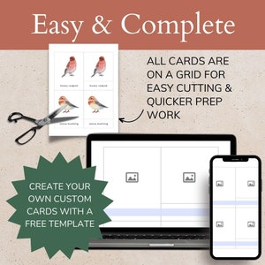 Winter Birds Flashcards Printable, Montessori Winter Activities for ...
