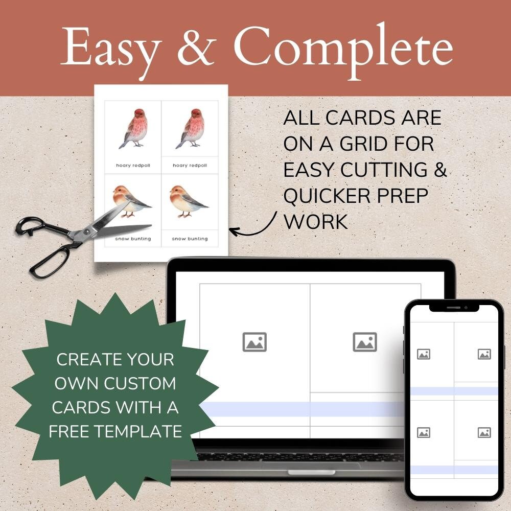 Winter Birds Flashcards Printable, Montessori Winter Activities for ...