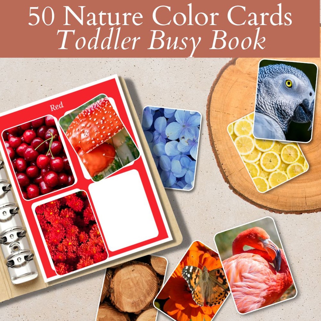 Color Sorting Printable Cards, Montessori Color Matching Activity ...