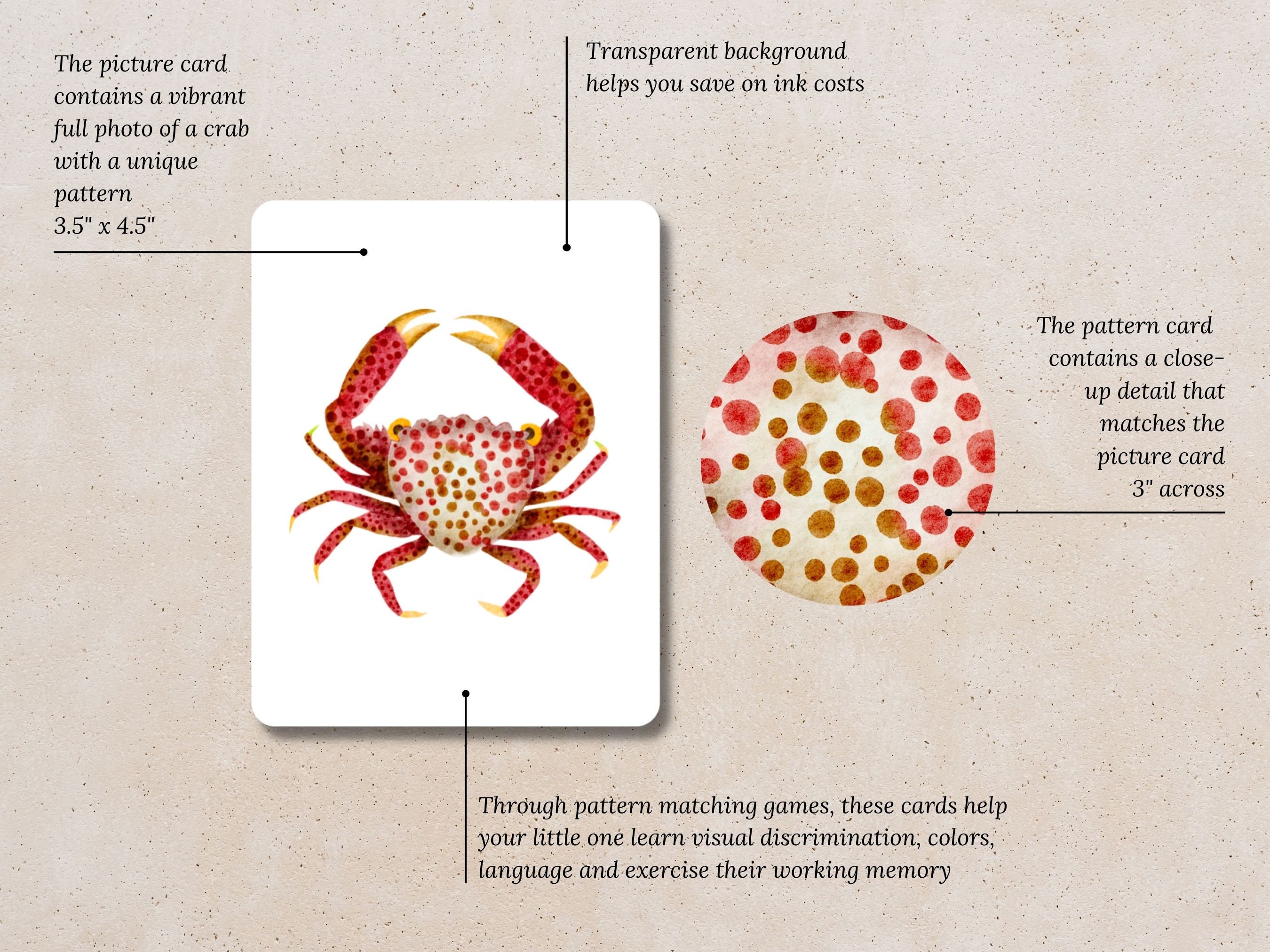 Crab Matching Card Digital Download, Beach Ocean Learning Montessori ...
