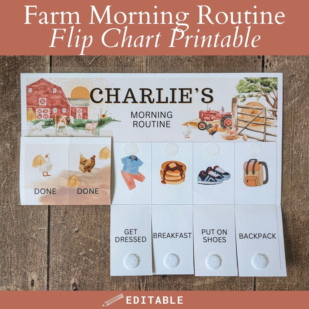 Editable Morning Routine Flip Chart for Toddlers, Autism Visual ...