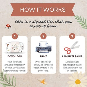 Rainbow Count and Clip Card, Spring Math Manipulative, Classroom Number ...