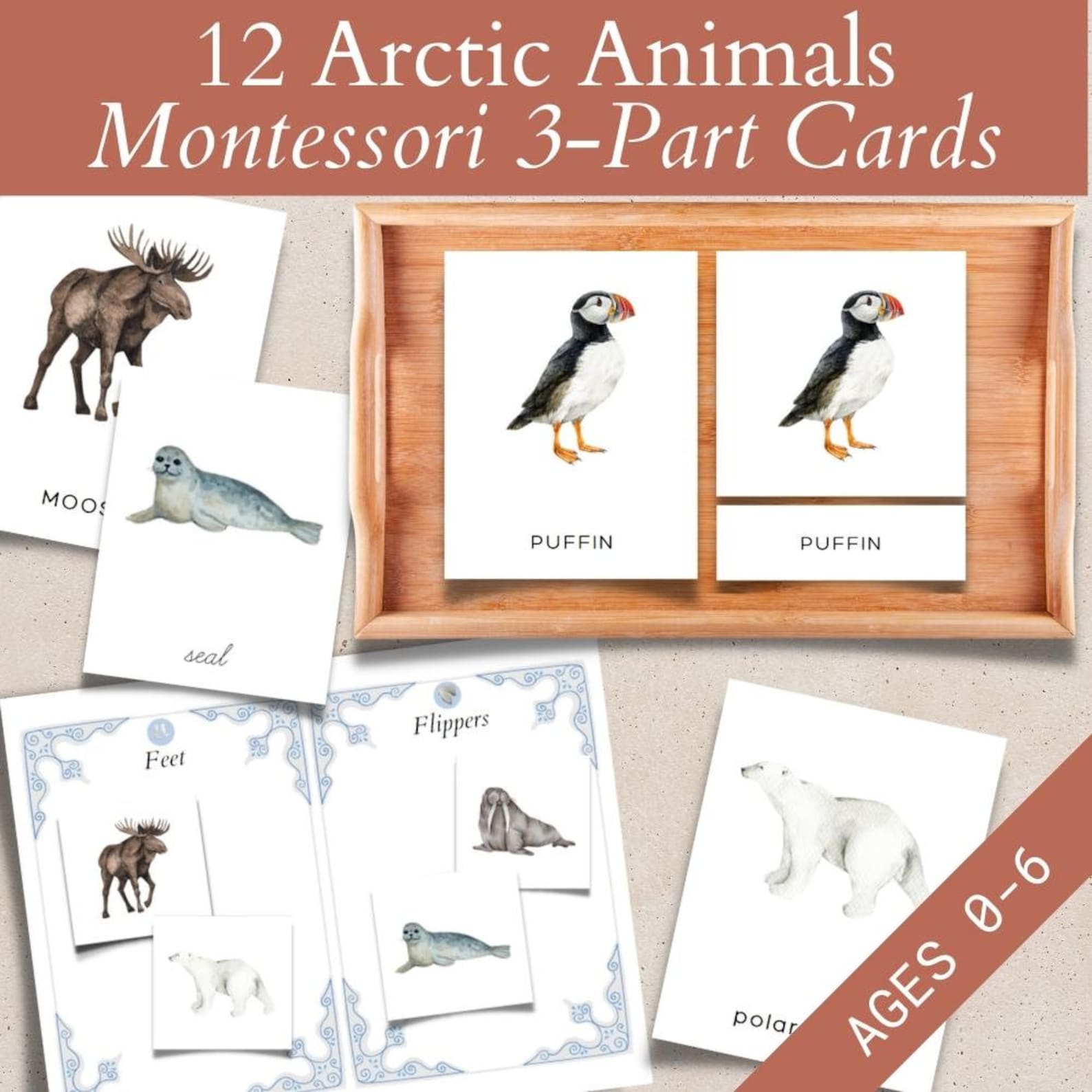 Arctic Animals 3 Part Cards Printable, Polar Montessori Nomenclature ...