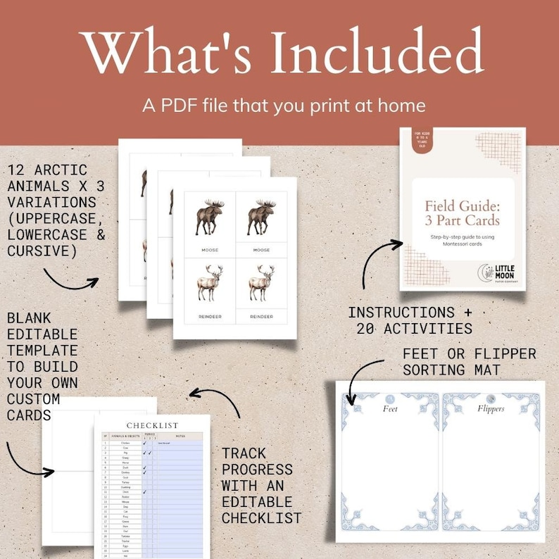 Arctic Animals 3 Part Cards Printable, Polar Montessori Nomenclature ...