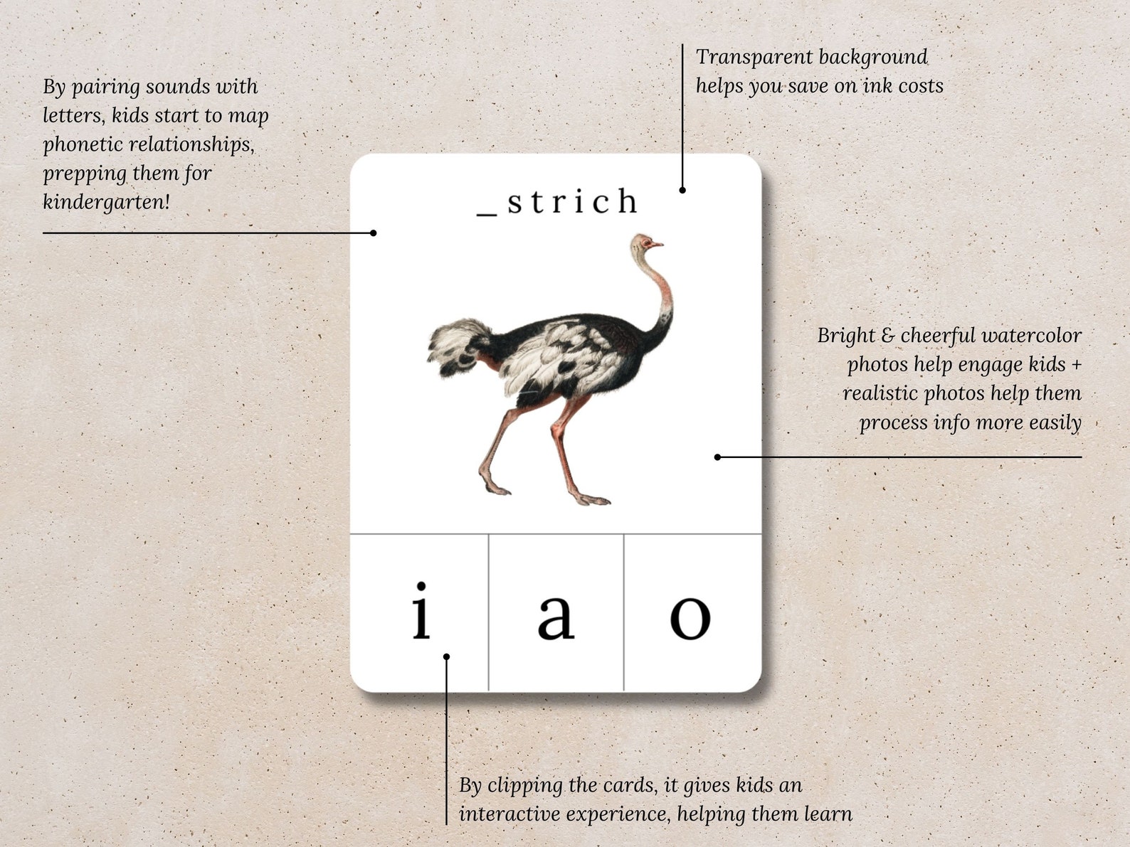 Phonics Flashcards Beginning Sounds Alphabet ABC Flash Cards - Etsy