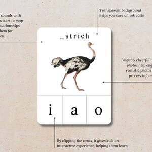 Beginning Sound Clip Cards for Kids, Learn to Read Phonics Flashcards ...
