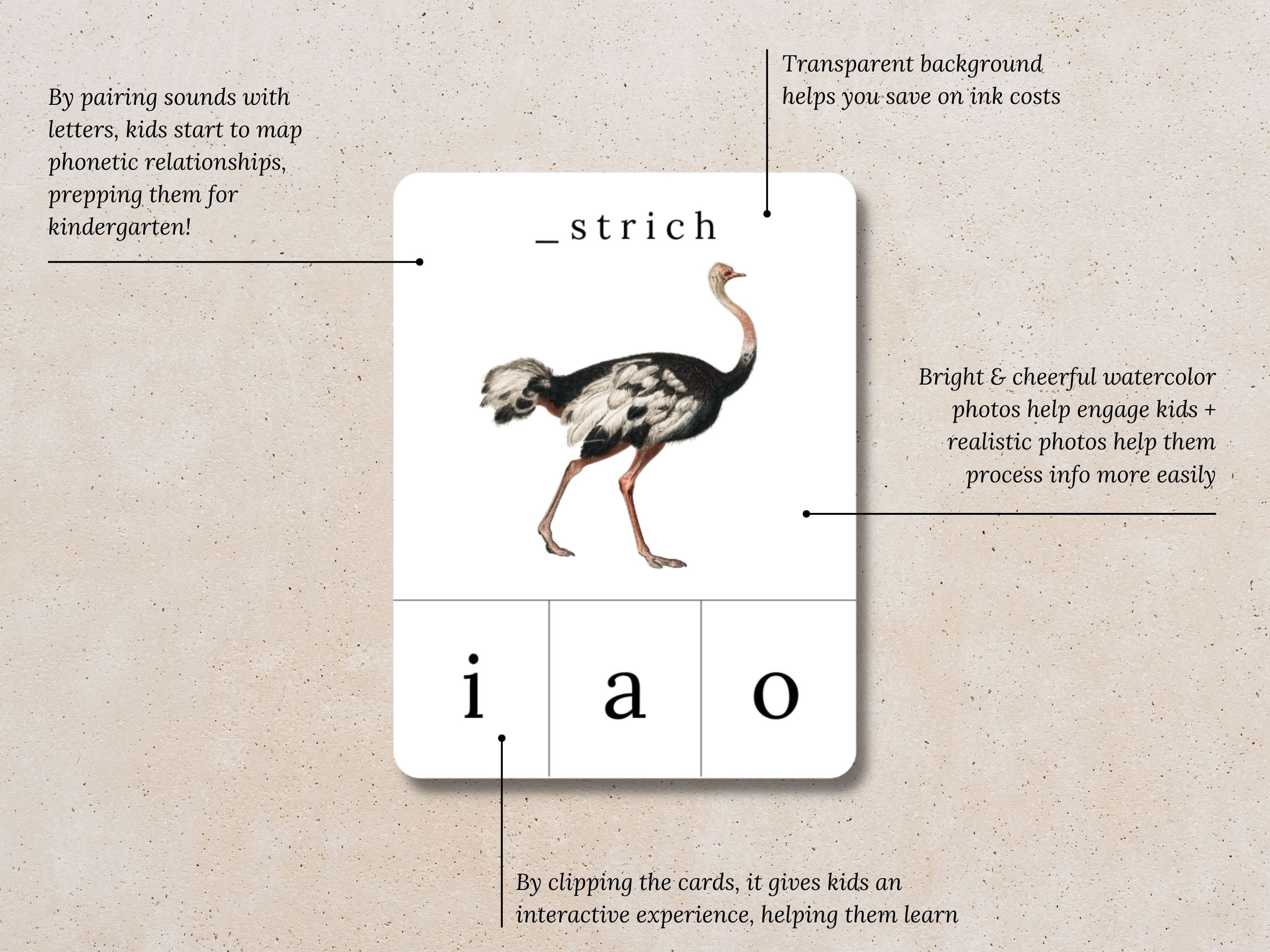 Phonics Flashcards Beginning Sounds Alphabet ABC Flash Cards - Etsy