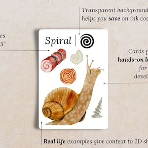 2D Shapes Nature Cards, Shape Matching Activity, Learning Shapes ...