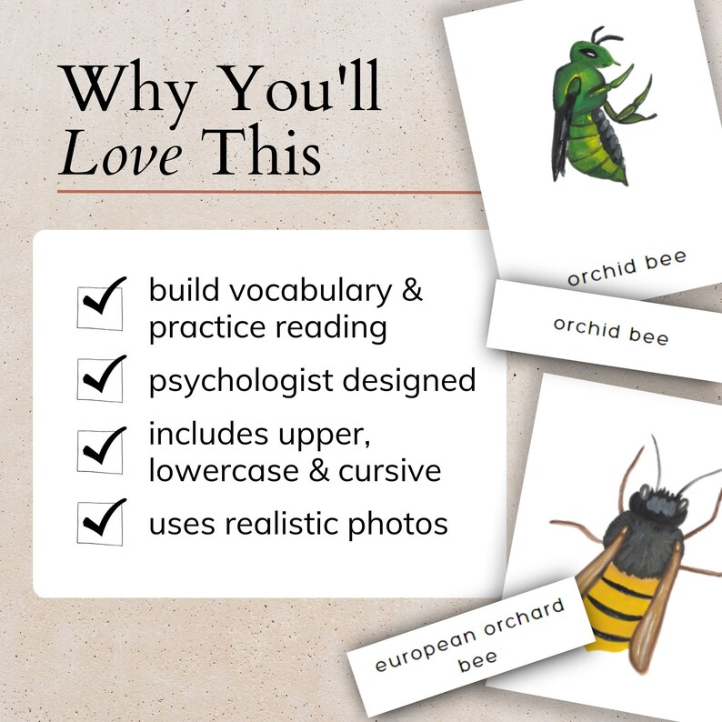Types of Bee Vocabulary Flashcard, Montessori 3 Part Card Bee Preschool ...