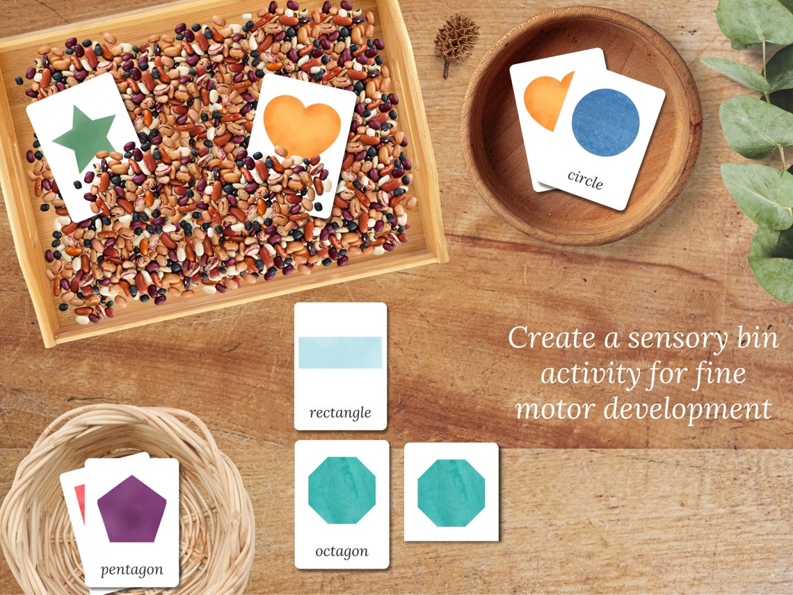 Montessori Shapes Flashcards for Toddler, 3 Part Card Printable ...