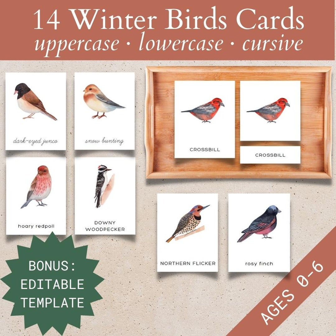 Winter Birds Flashcards Printable, Montessori Winter Activities for ...