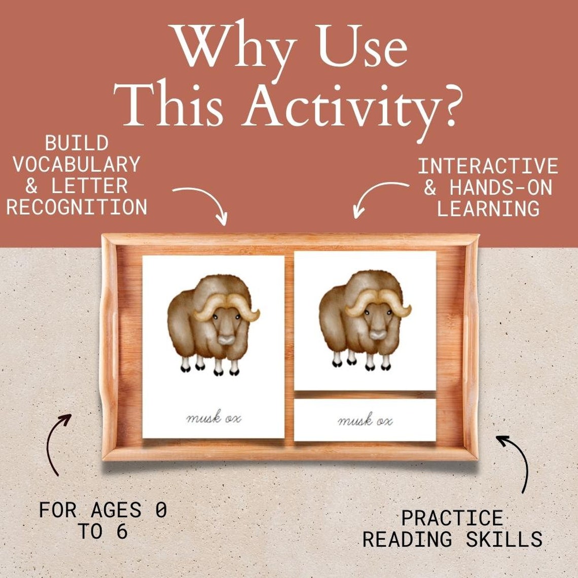 Arctic Animals 3 Part Cards Printable, Polar Montessori Nomenclature ...