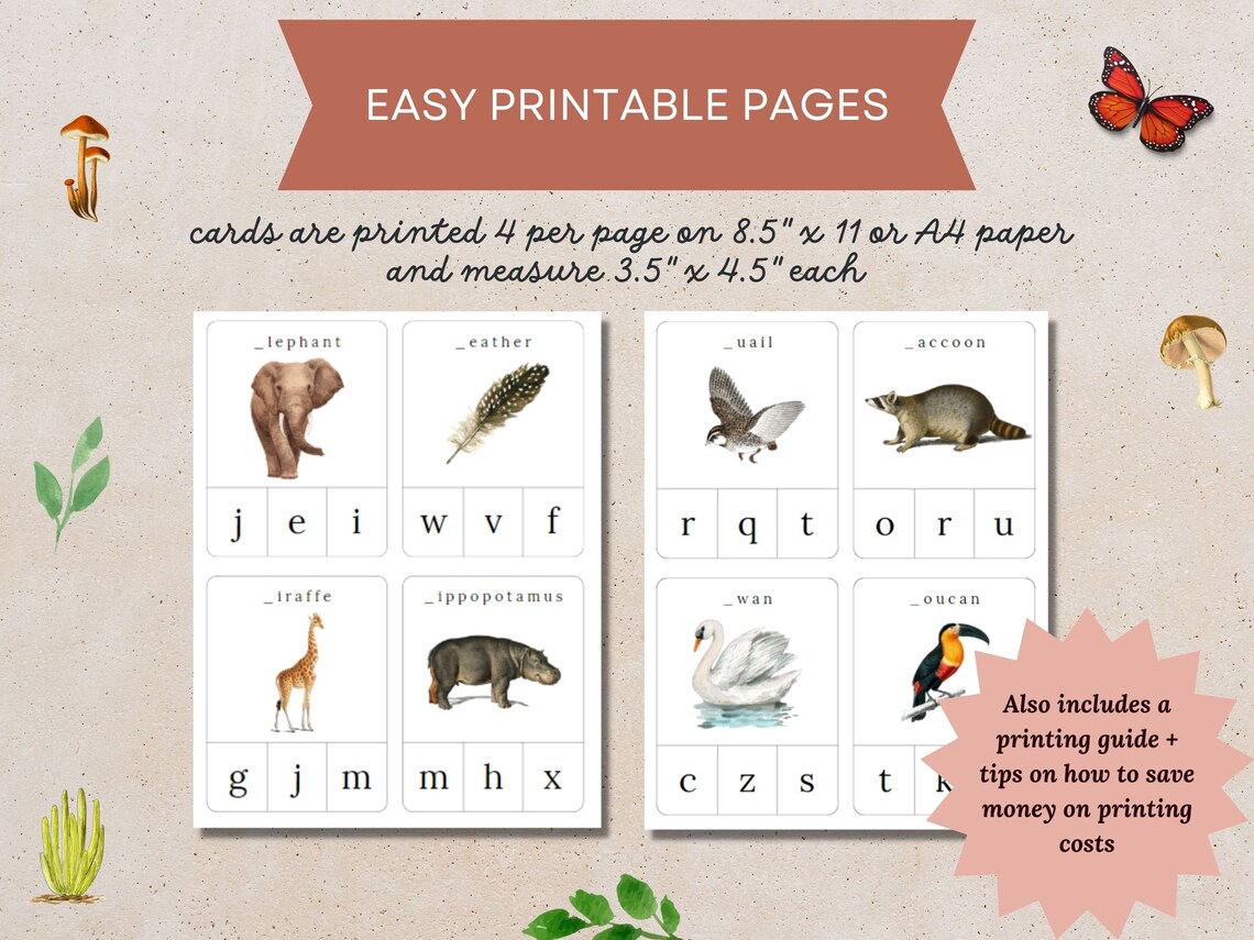 Phonics Flashcards Beginning Sounds Alphabet ABC Flash Cards - Etsy